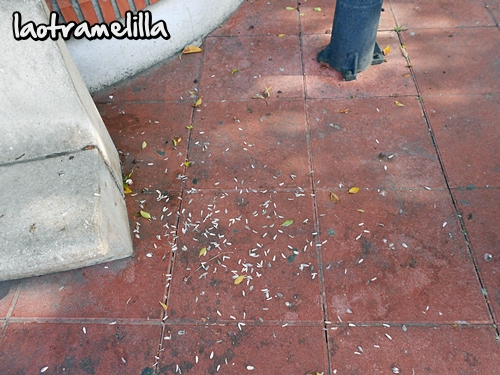 La OTRA Melilla: un SUCIO parque