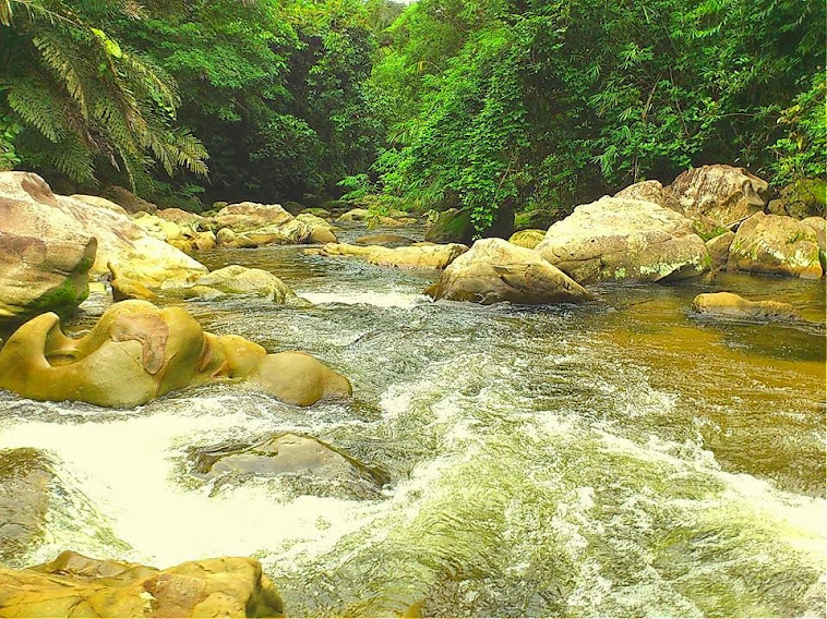 KAMPUNG TEPOI,TEBEDU,SERIAN,SARAWAK