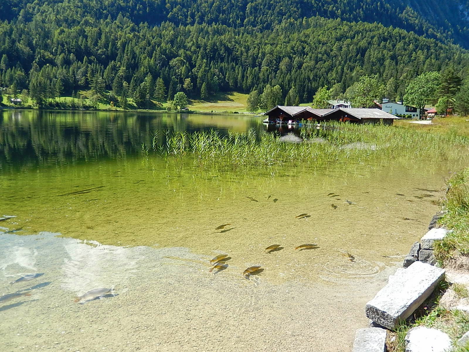 Der Wanderfreund: Wanderung Mittenwald - Lautersee - Grünkopf ...