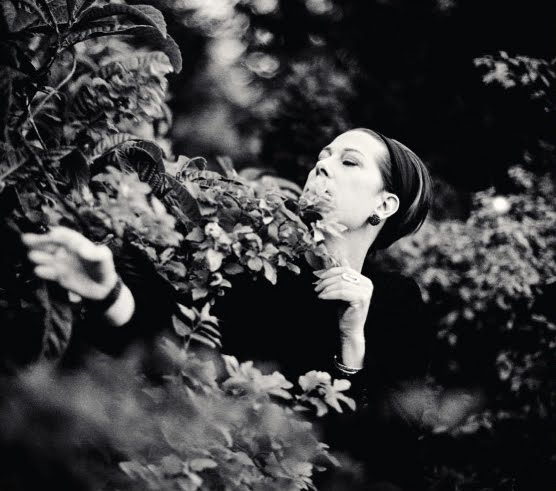 ioulex photography: Justin Vivian Bond's "Dendrophile"!