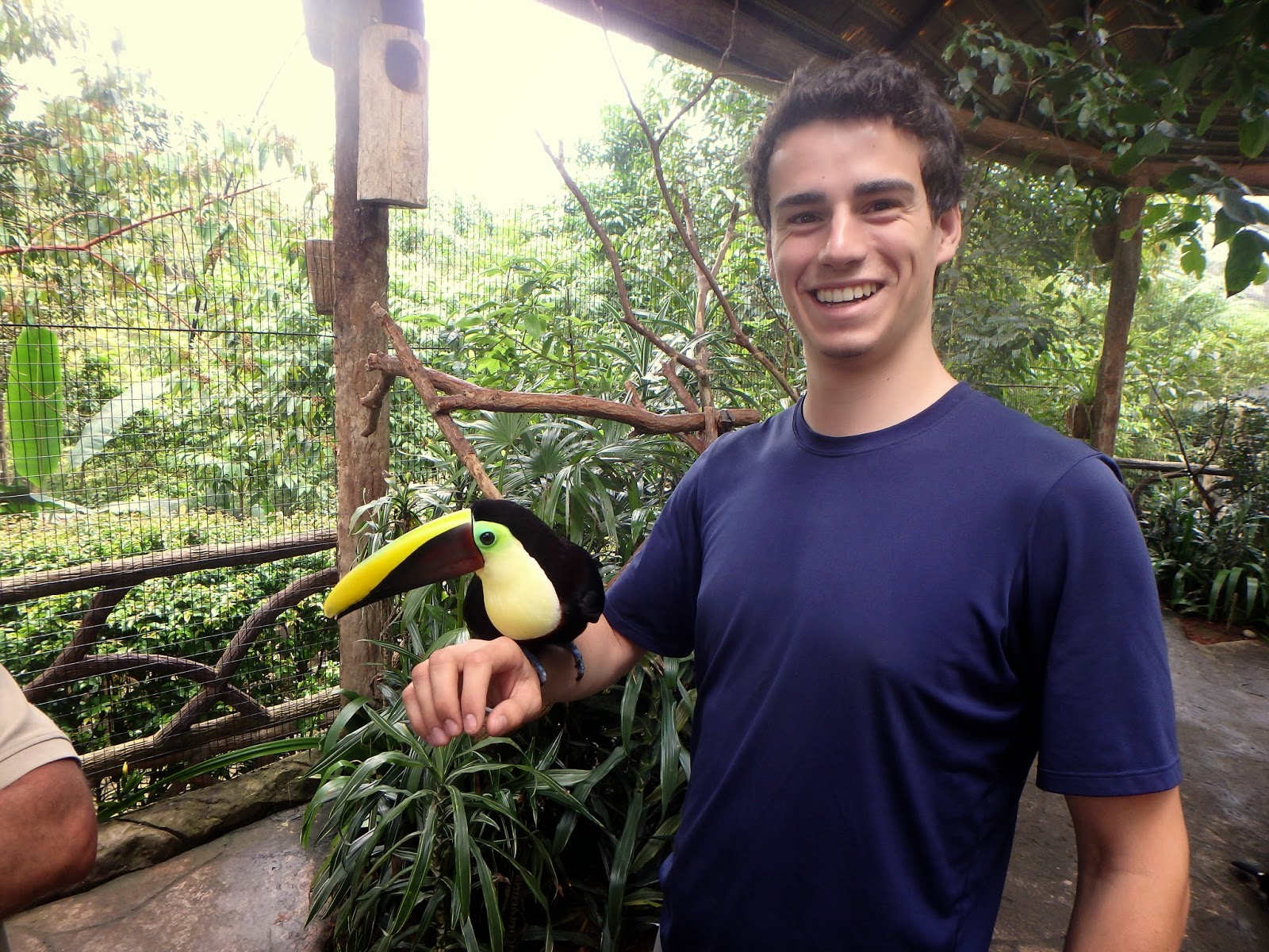 How to Write a Deferral Letter for a Gap Year - En Route Consulting