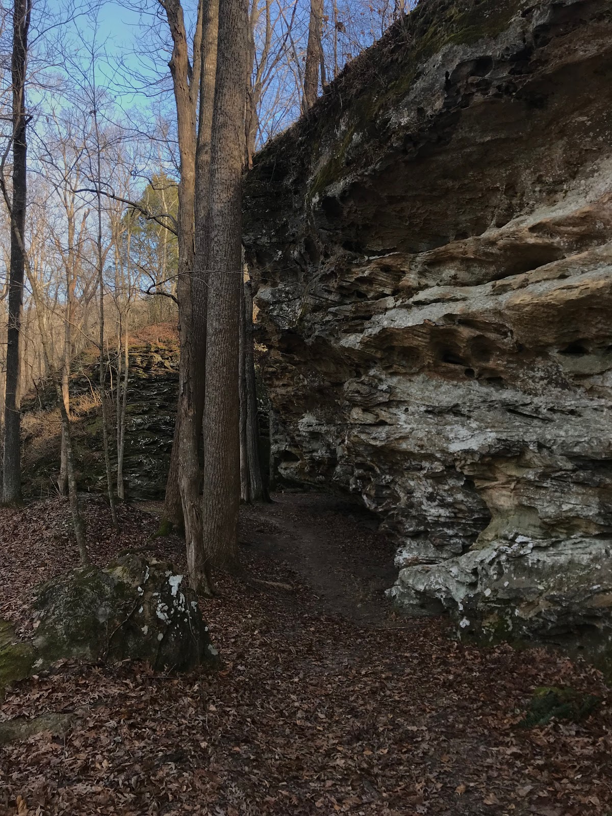 Illinois Botanizer: River to River Trail across southern Illinois Day 8 ...
