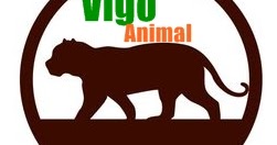 VigoAnimal: Vigo Animal - Bienvenidos
