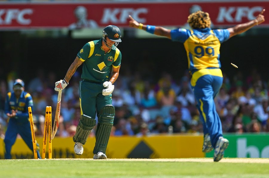 Webking365 | Games, TV Channels, Software & More: Live Cricket Score ...