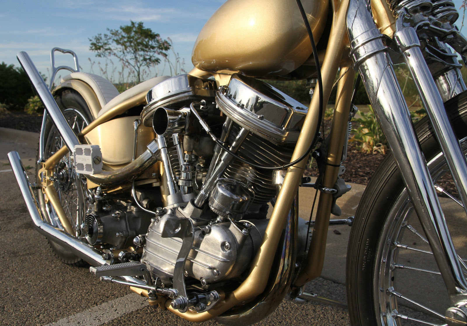 biker excalibur II: 1955 Harley Davidson Panhead Chopper
