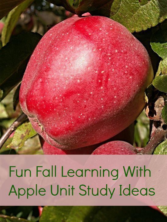Fun Fall Learning With Apple Unit Study Ideas - Homeschool Curriculum ...