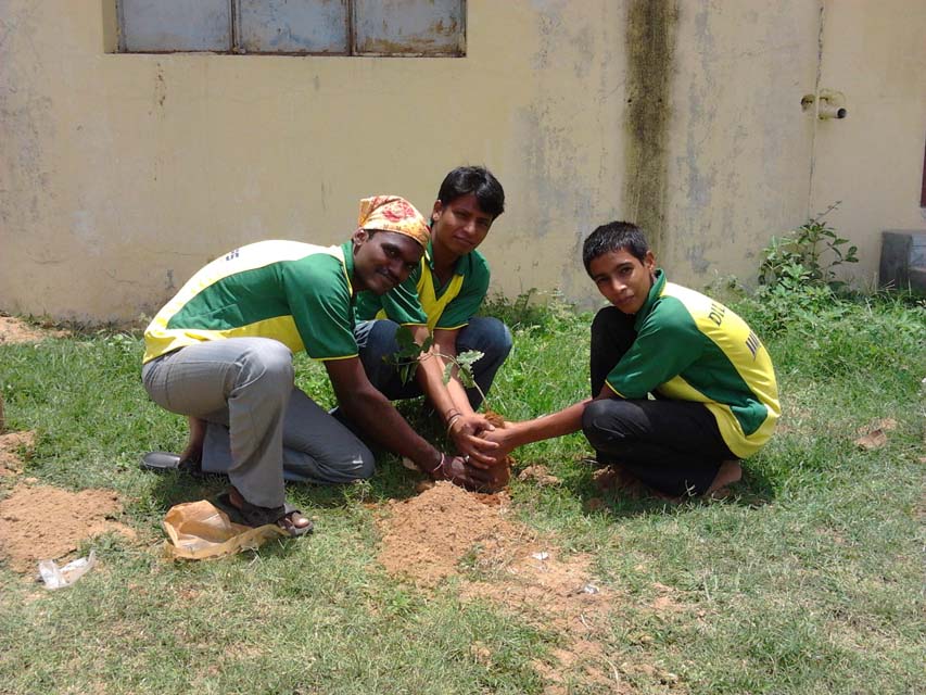 Pillars of India: The Green 500 Tree Plantation Project at Arani by ...