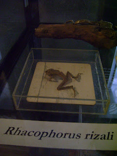 The Life and Works of Rizal: Chamber of Text, Intramuros