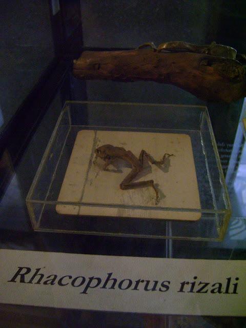 Chamber of Text, Intramuros