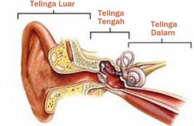 Infeksi Telinga: Gejala dan Pengobatan | Medkes