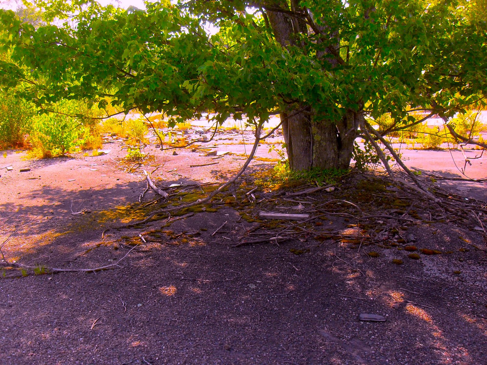 ART SKOOL DAMAGE : Christian Montone: Memento Mori: The Ghost Of Angela ...