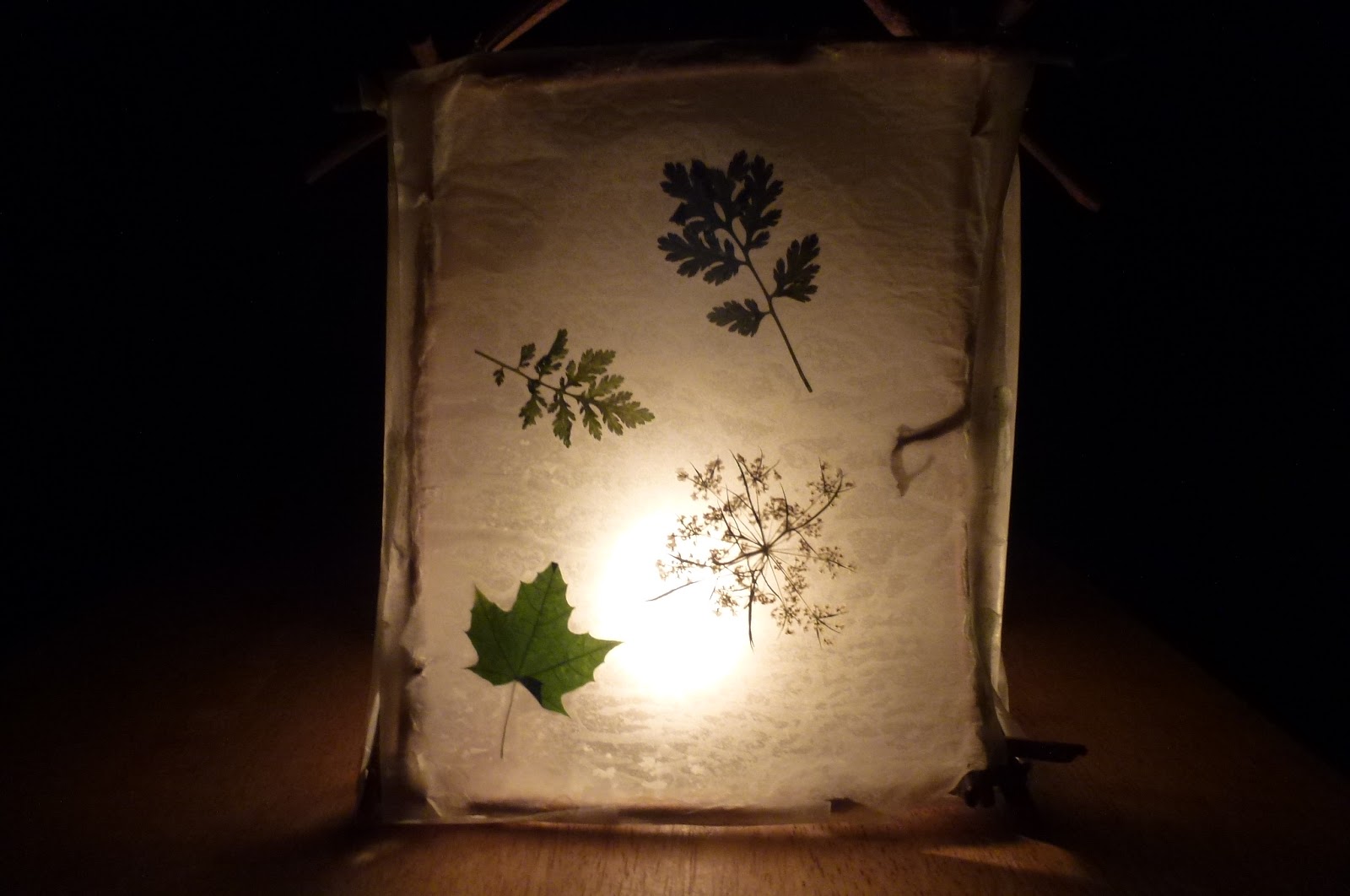 Little City Farm: Plant-inspired Solstice lanterns!