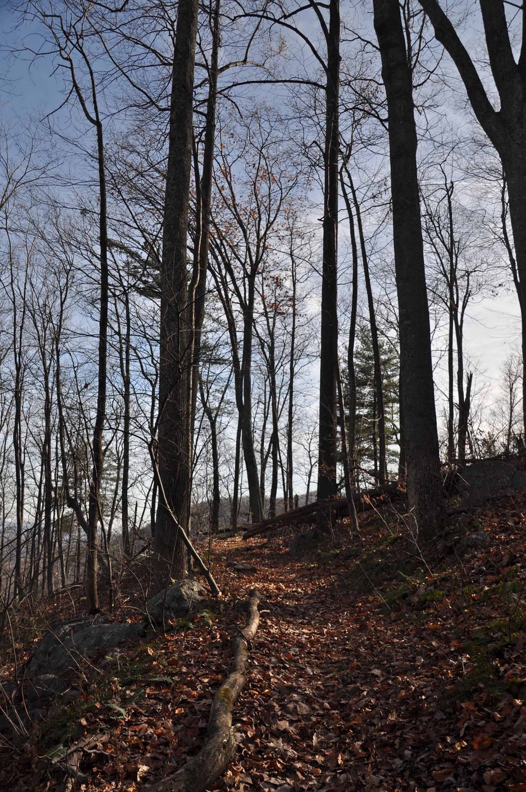 Corbin Mountain and Robertson Mountain: A Sunset Hike