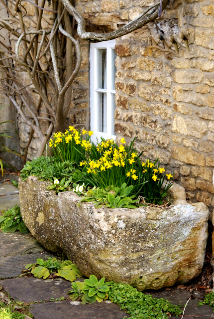 Rue de Emily: Signs of Spring...