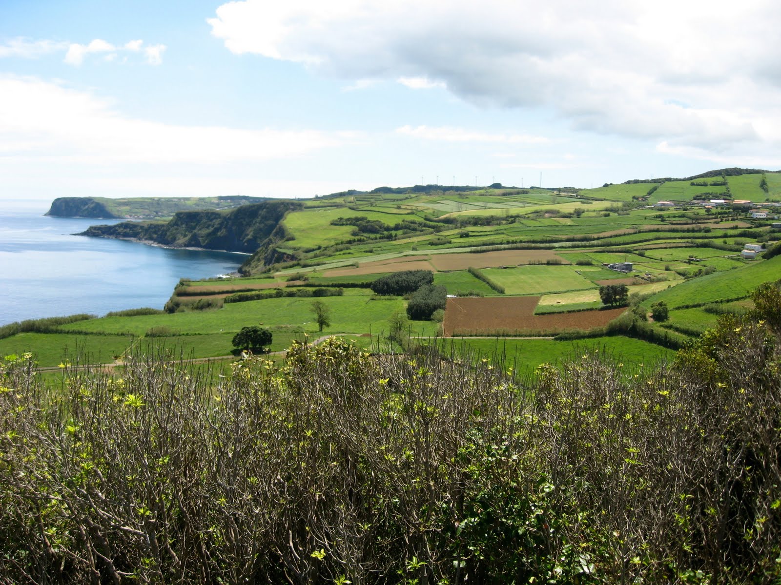 GEOCRUSOE: Paisagens da Ribeirinha - Pontinha