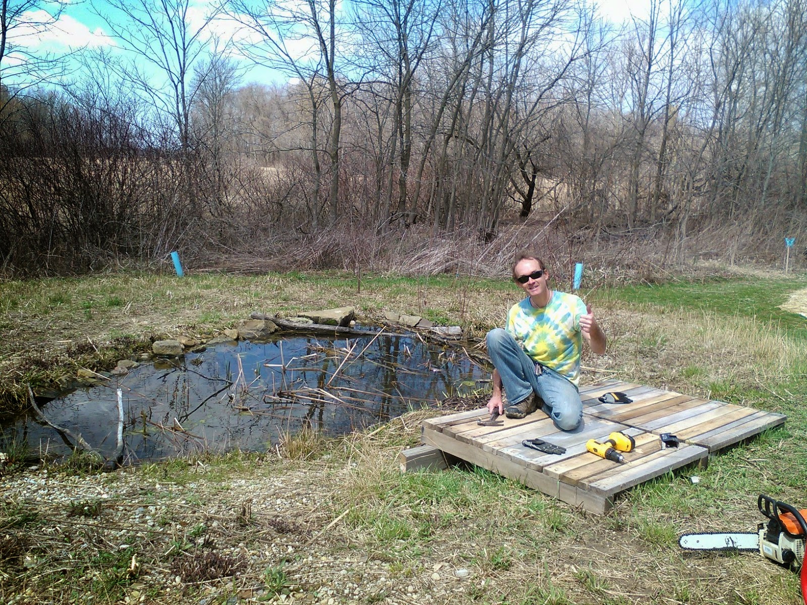 the common milkweed: Mini Wildlife Observation Platform Made of Pallets ...