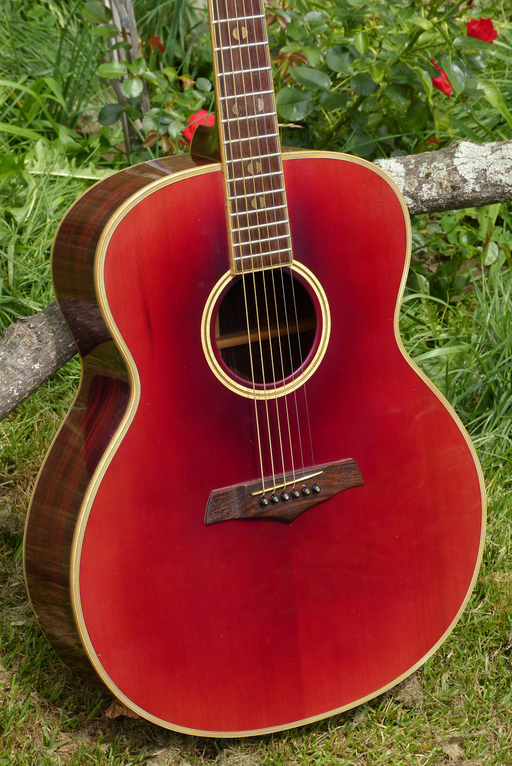 1982 Daion The '82 Flattop Jumbo Guitar