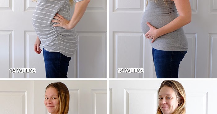 Second Trimester with Twins: Bumps and Thoughts / Habitual Homebody