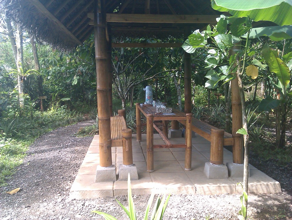 Bali Travel Tourism and Vacations in Bali: subak bali agrotourism