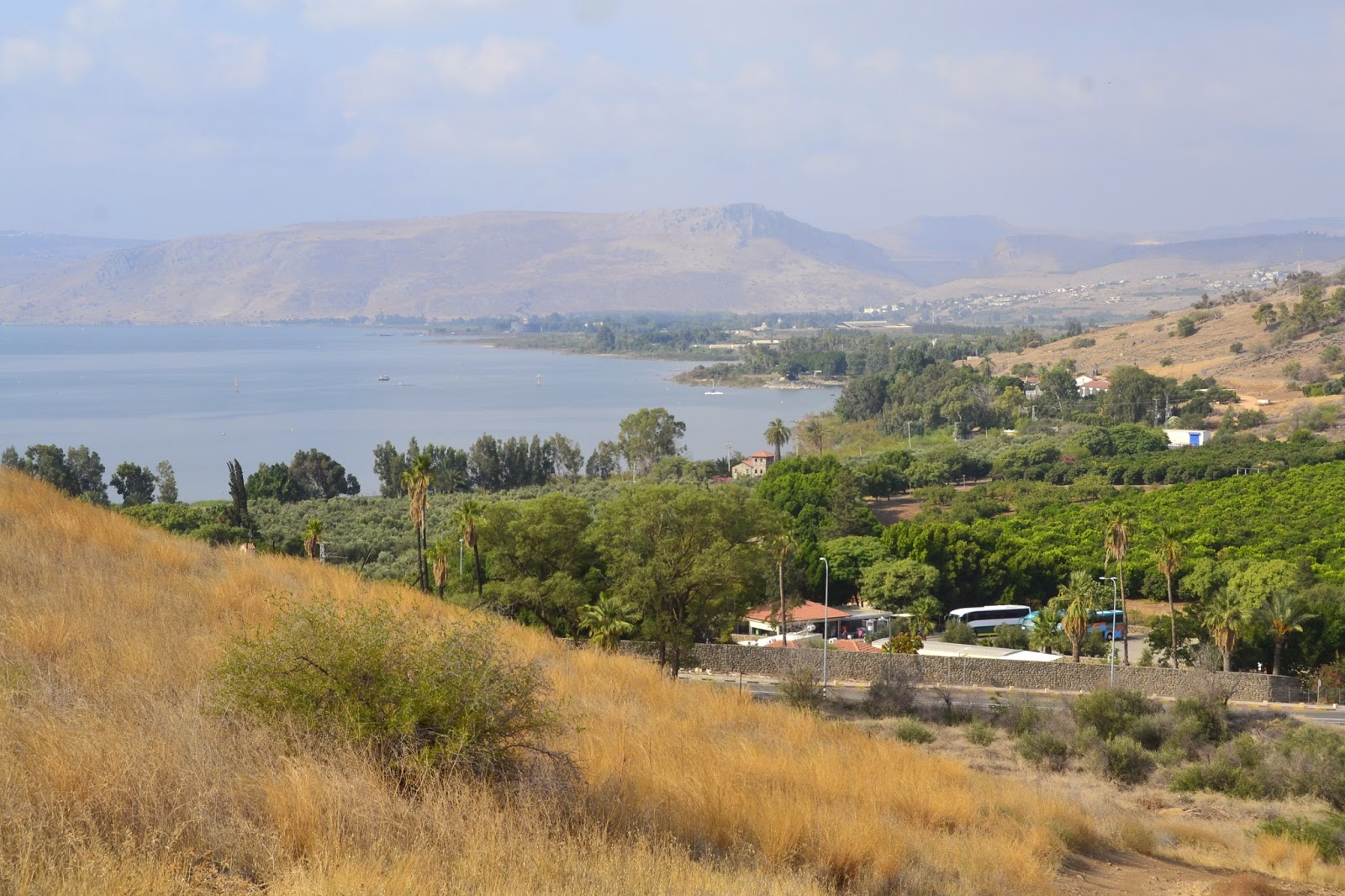 Tagebücher aus Israel: Der See Genezareth