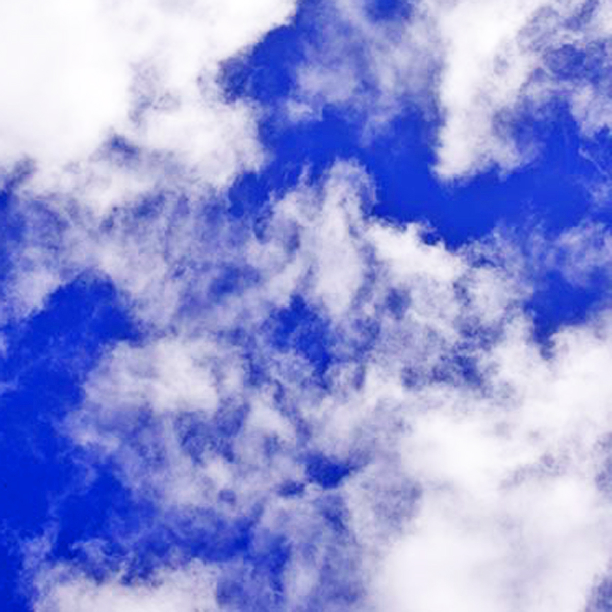 ANDREW CAMPBELL: 07: ANDREW CAMPBELL: BRITISH ARTIST: INSTALLATION ...