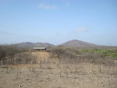 ECOLOGIA R.D.: Tema 3: BOSQUES SECOS