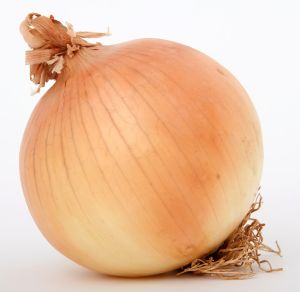Onion - Philippine Sibuyas