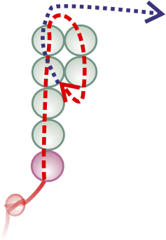 Bead Patterns and Ideas : St. Petersburg Chain Bead stitch - Learn how