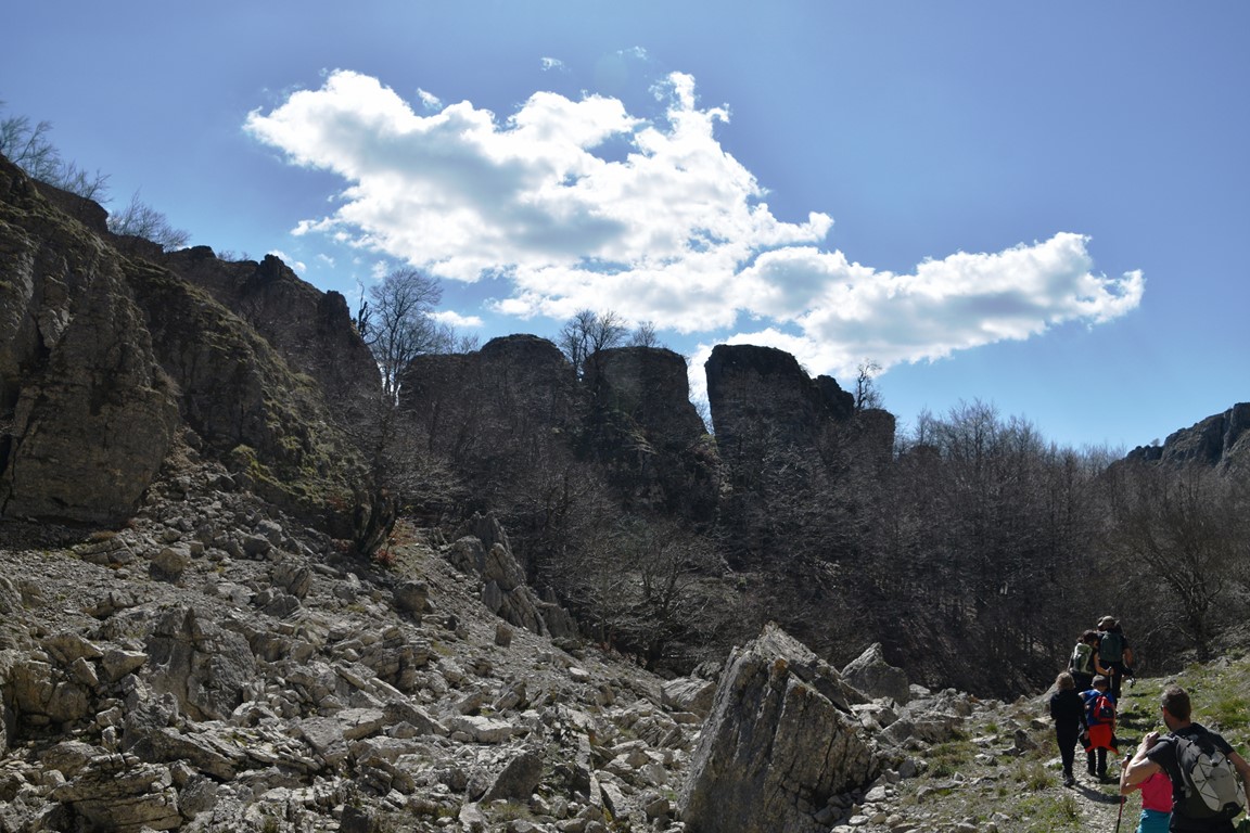 Mendiko osterak: Arnaba zirkularra Gastiain herritik