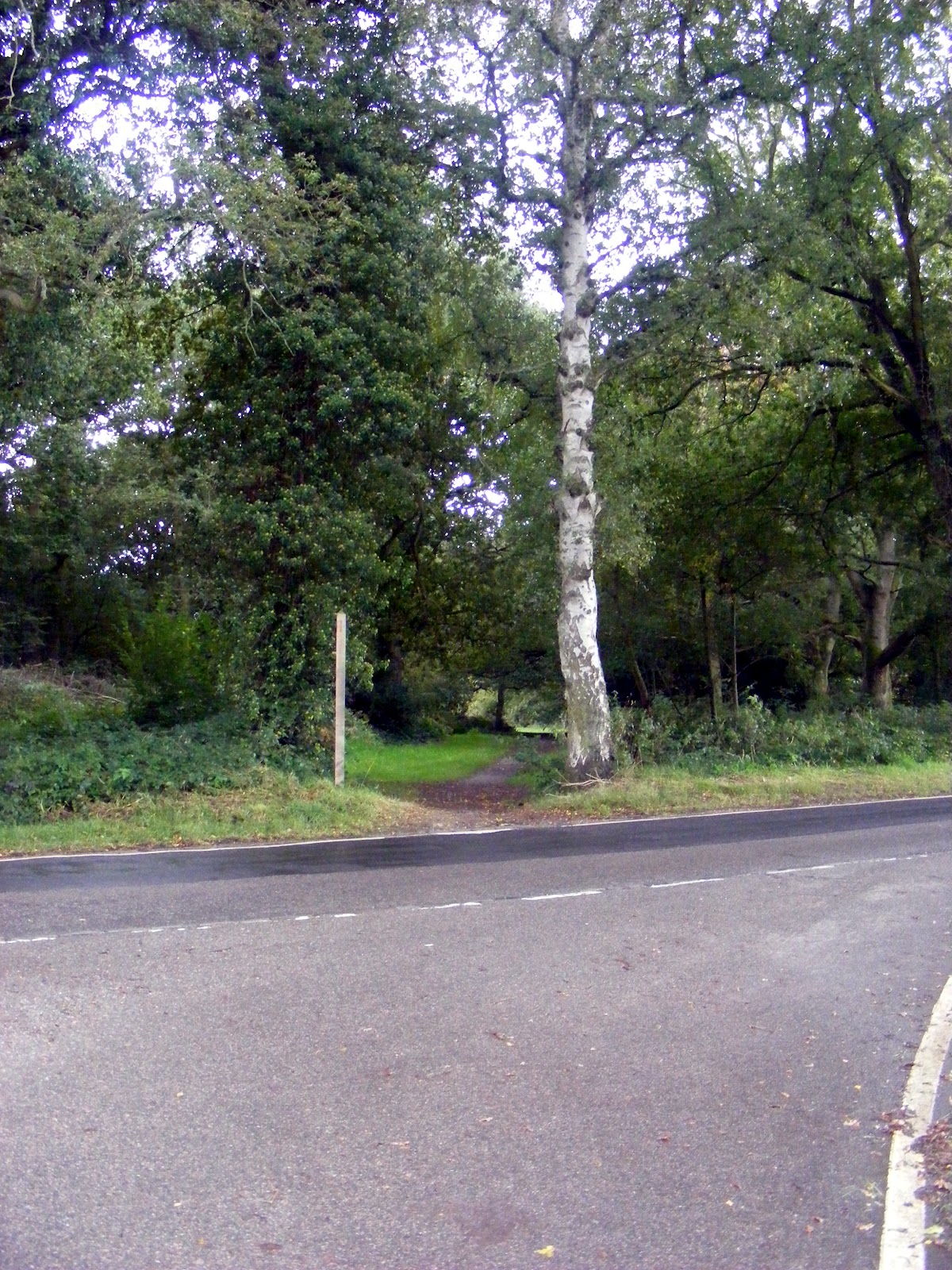 TheLondonLoop: London Loop-Hamsey Green to Banstead 3rd October 2012