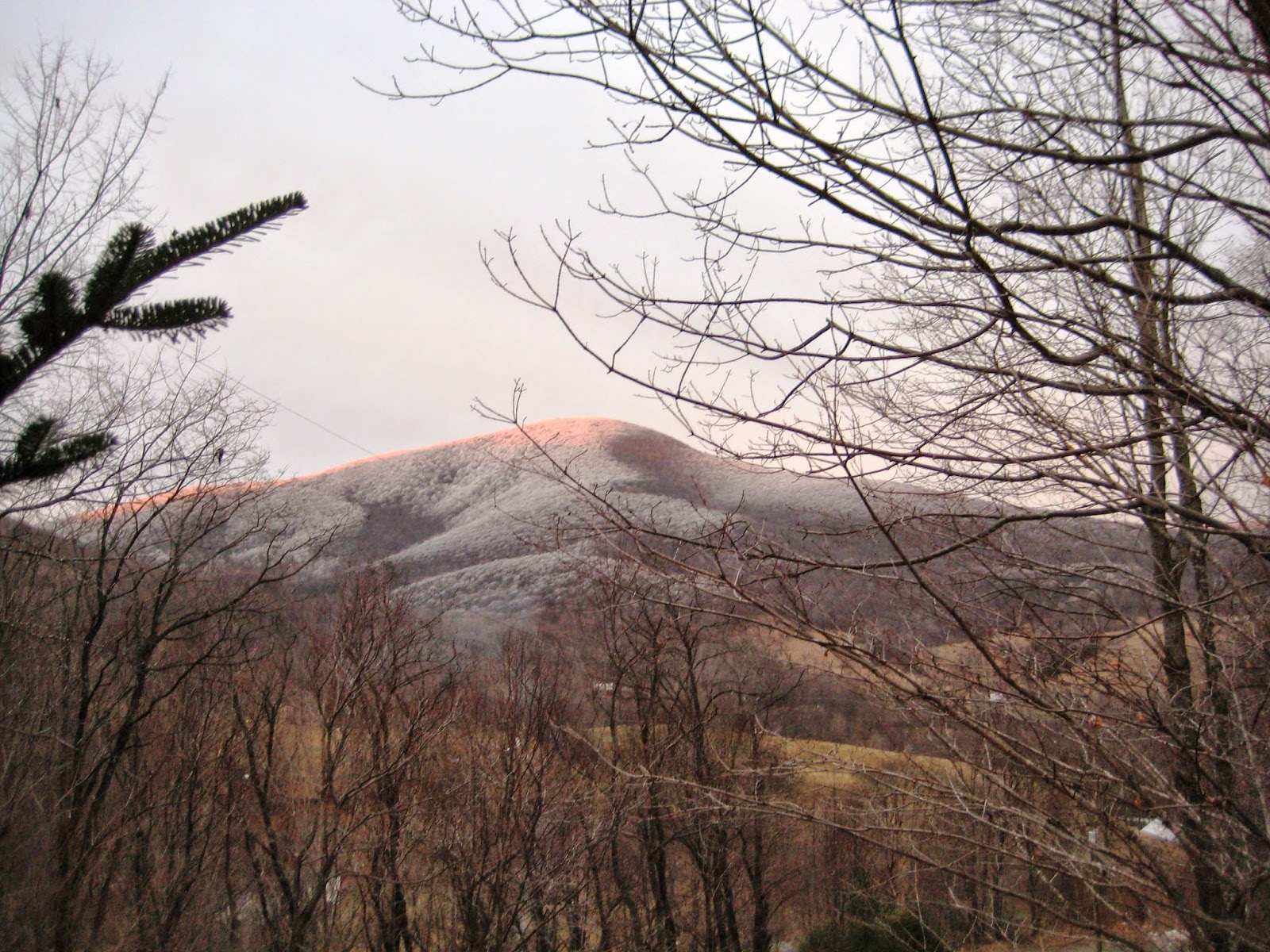 Jungle Red Writers: "Oh, Kaye!" Talks About Life In Meat Camp, NC