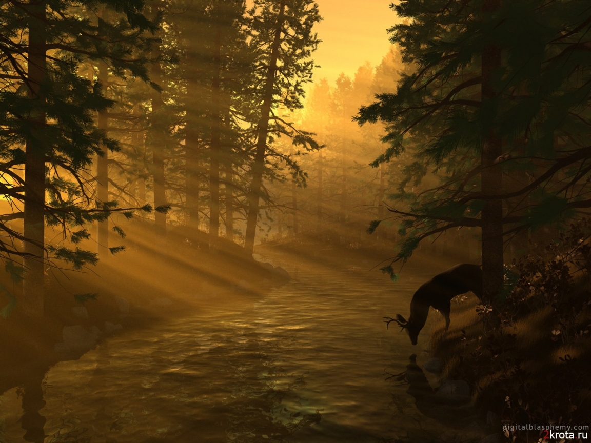 Desktop Nature wallpaper: Beautiful Digital Nature Photography ...