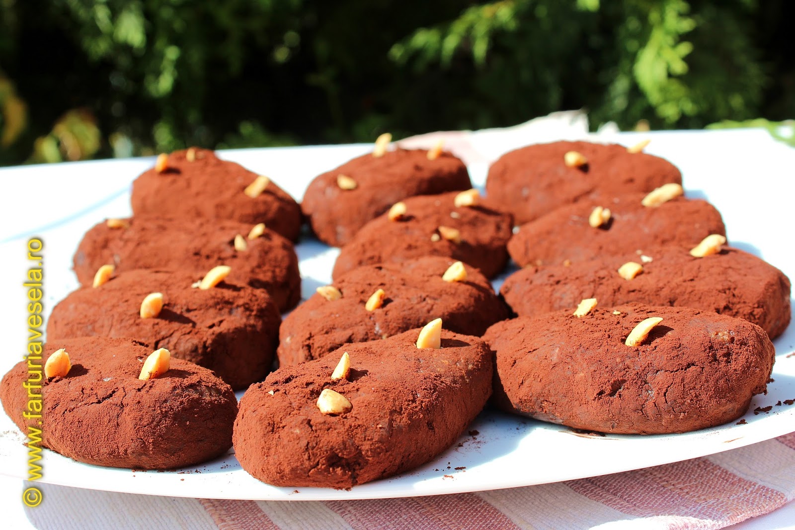 Farfuria vesela: Prajitura "Cartof"