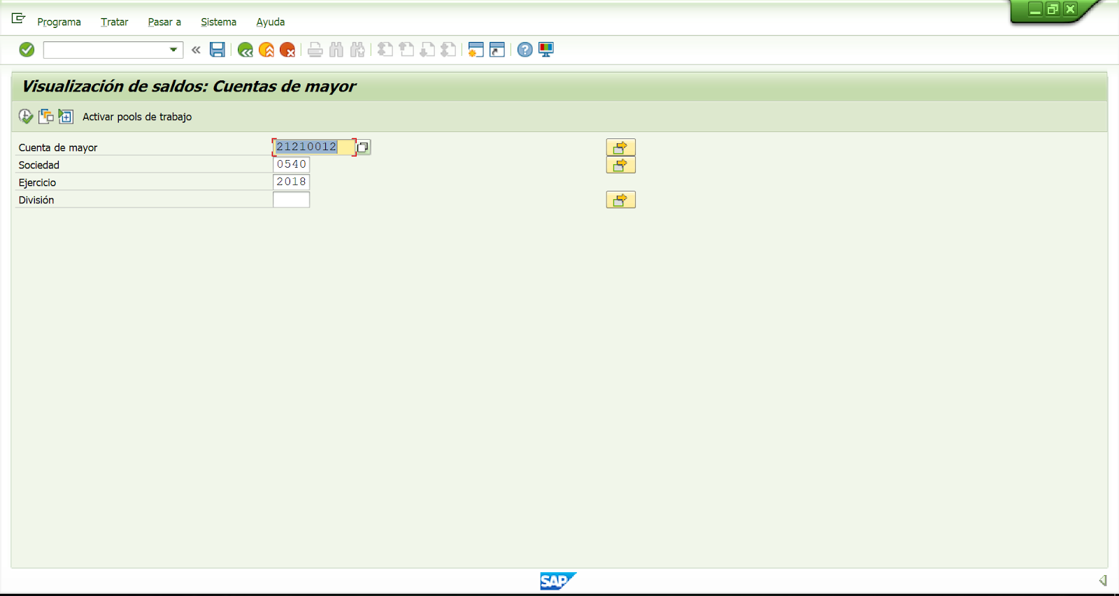 Grupo Meid Perú SAC: TRANSACCION FS10N - SAP