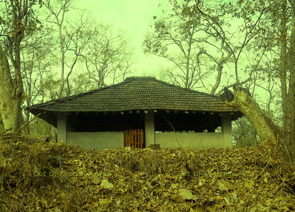 Trekking Places Near Mumbai........Tushar Rane: Asherigad in the Trails ...