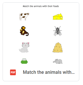 Match the animals with their foods