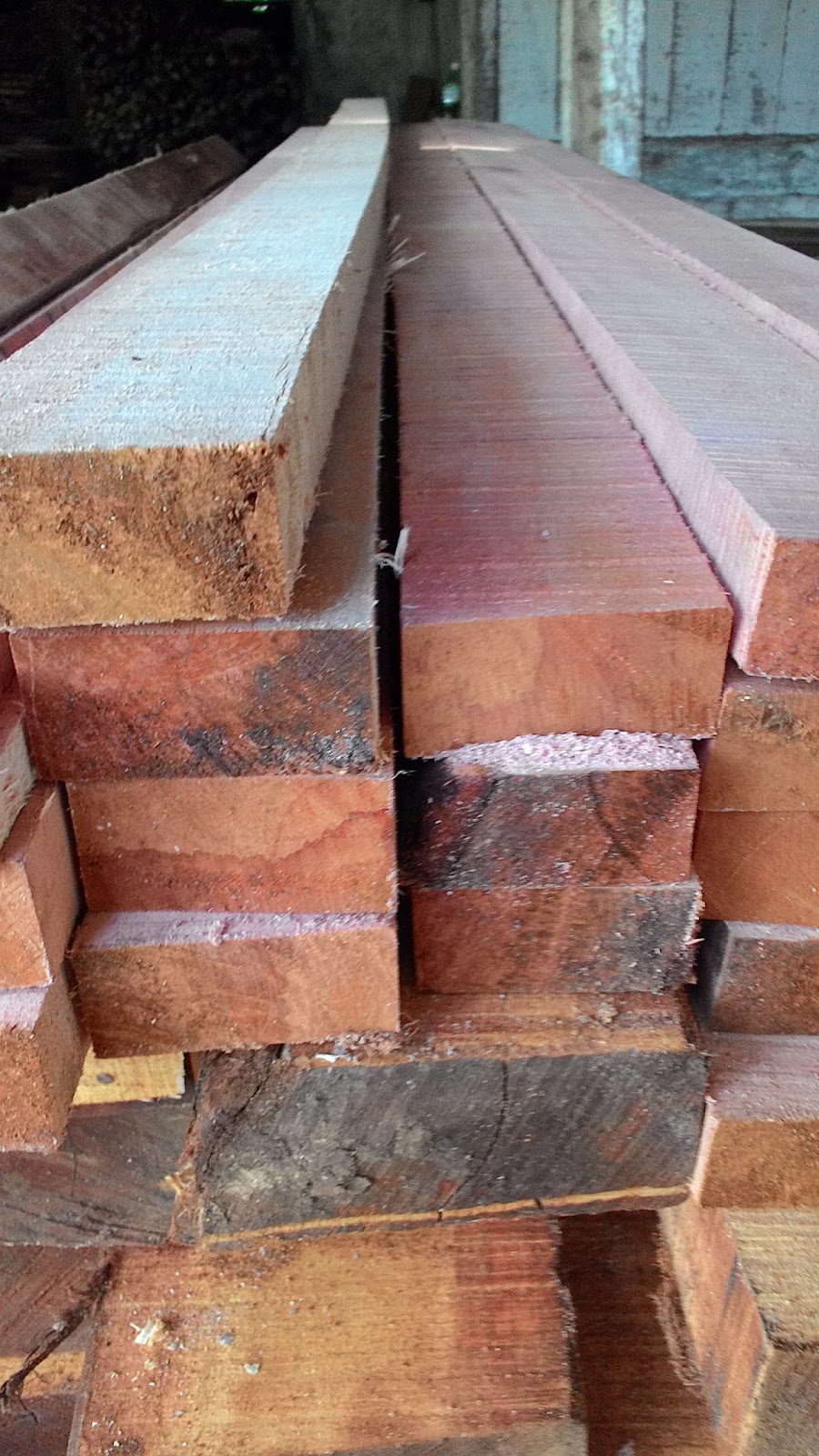 Harga Kayu Merbau 2013 - DUTA RIMBA INDONESIA