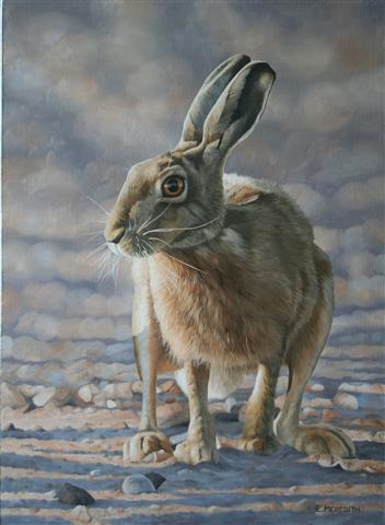 Clive Meredith Wildlife Art: Completed Hare painting