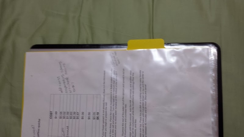 MagicPecanSlinky: Sheet Protector Dividers