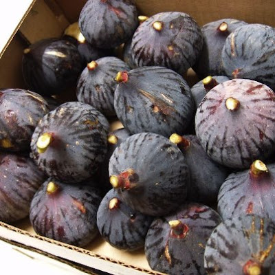 LEKKER RESEPTE VIR DIE JONGERGESLAG: VYEKONFYT / SUURVYE / KONSERF