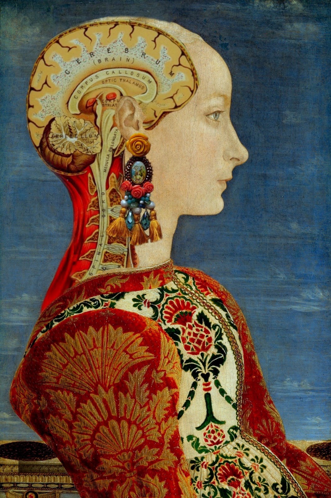 ::B L O G H I S T A∙P E R∙C A S O:: : Robin Isely