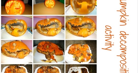 Arthurwears: Halloween pumpkin decomposition activity - Understanding ...