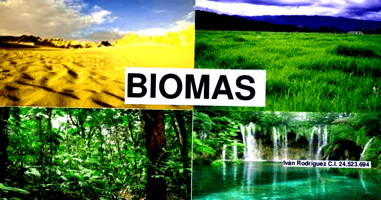 Tipos De: Tipos de biomas