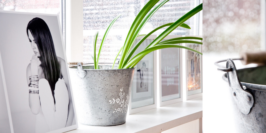 terje.talpsepp. DESIGN & LIFESTYLE PHOTOGRAPHER: valge nagu lumi