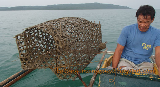 Erwin: Bamboo Fish Trap (Bubu / Bubo)