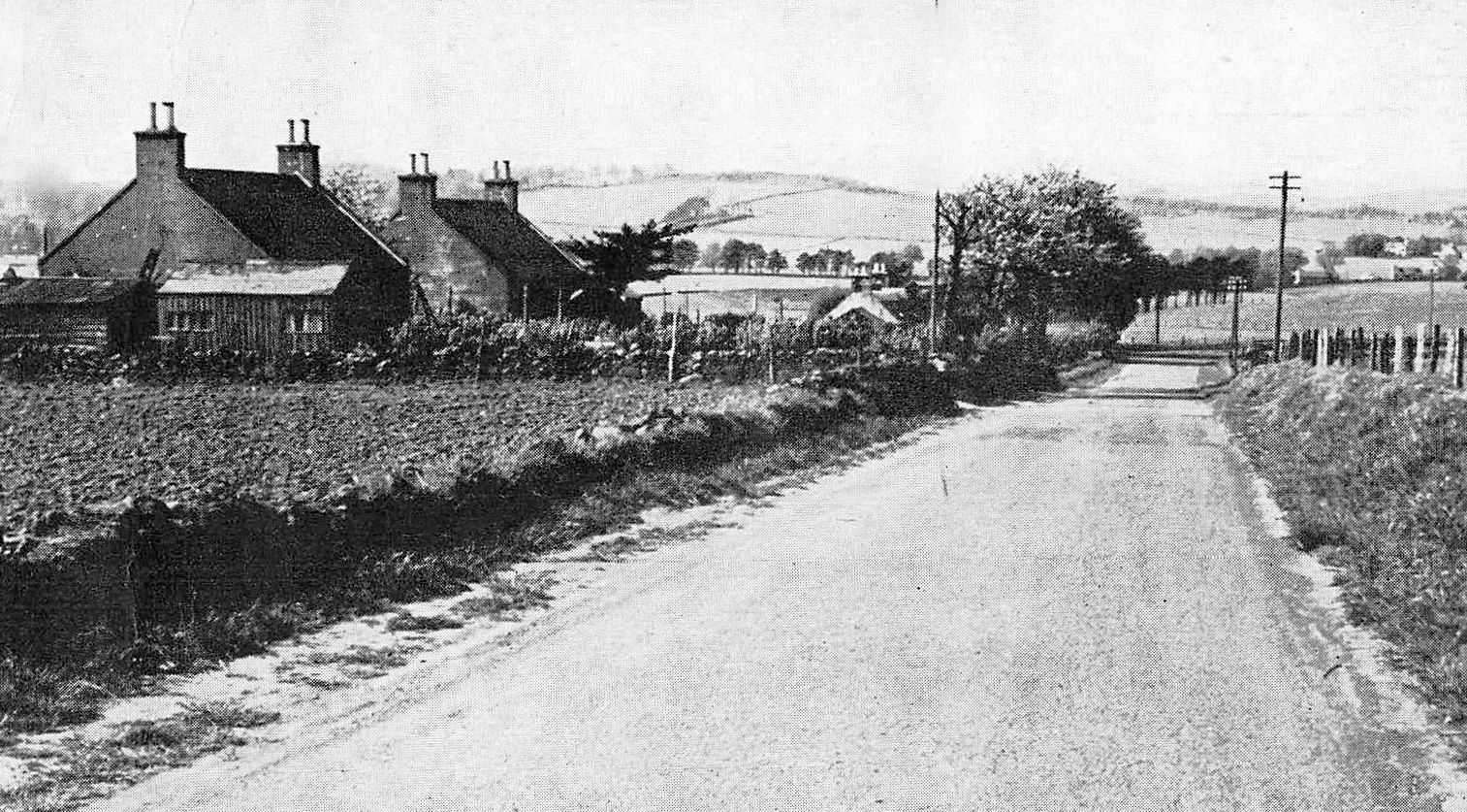 Tour Scotland: Old Photograph Road To Pitcaple Scotland