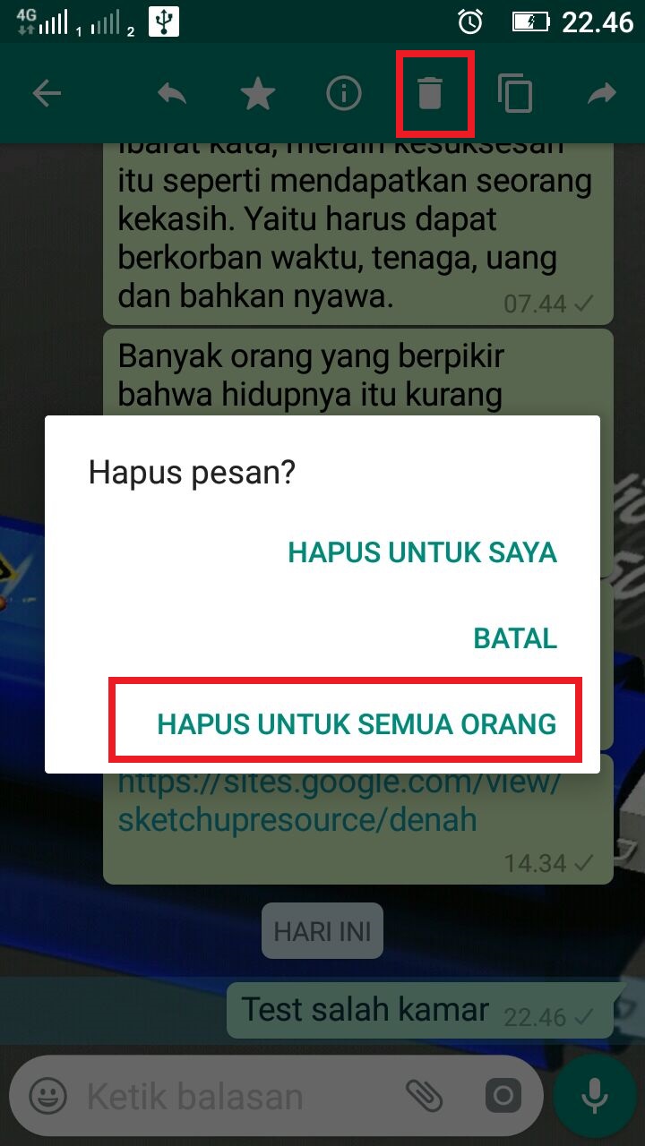 Dikasih Tahu: Cara Hapus Pesan Chat Salah Kirim
