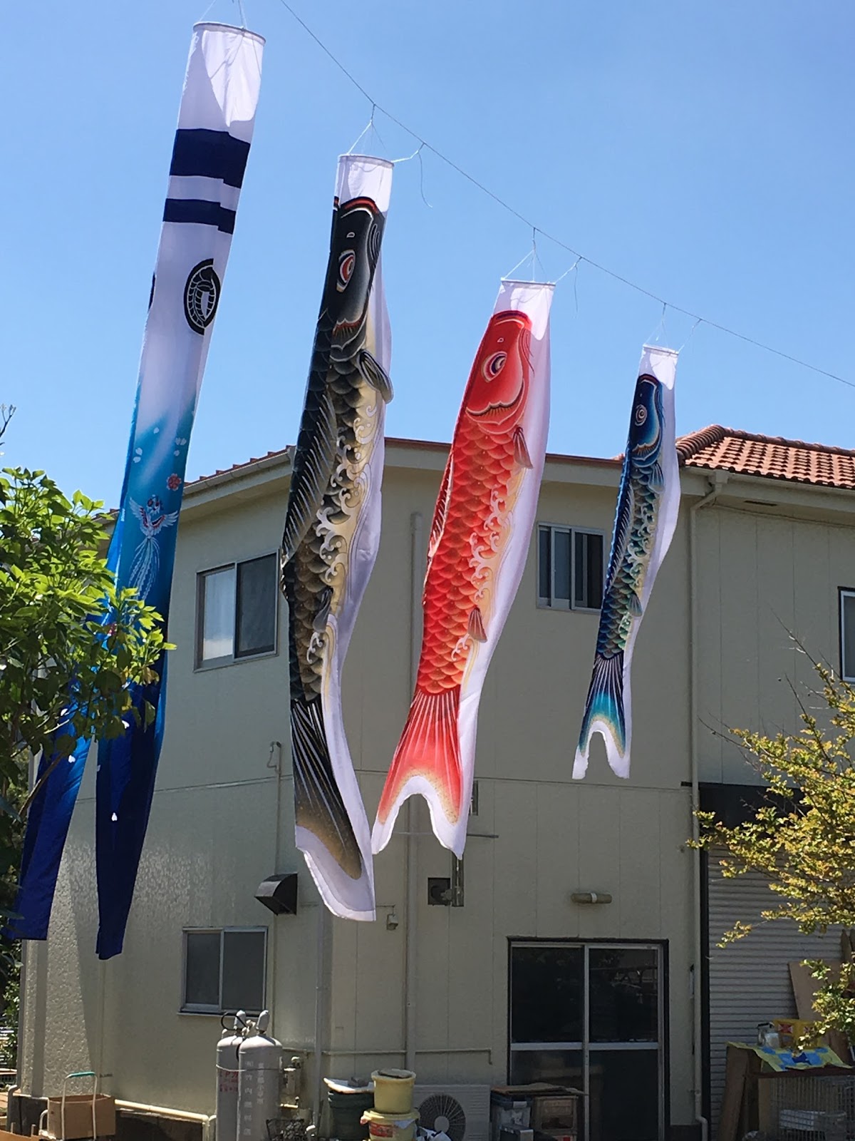 Golden Week, Boy's Day, and Koi-Carp Streamers