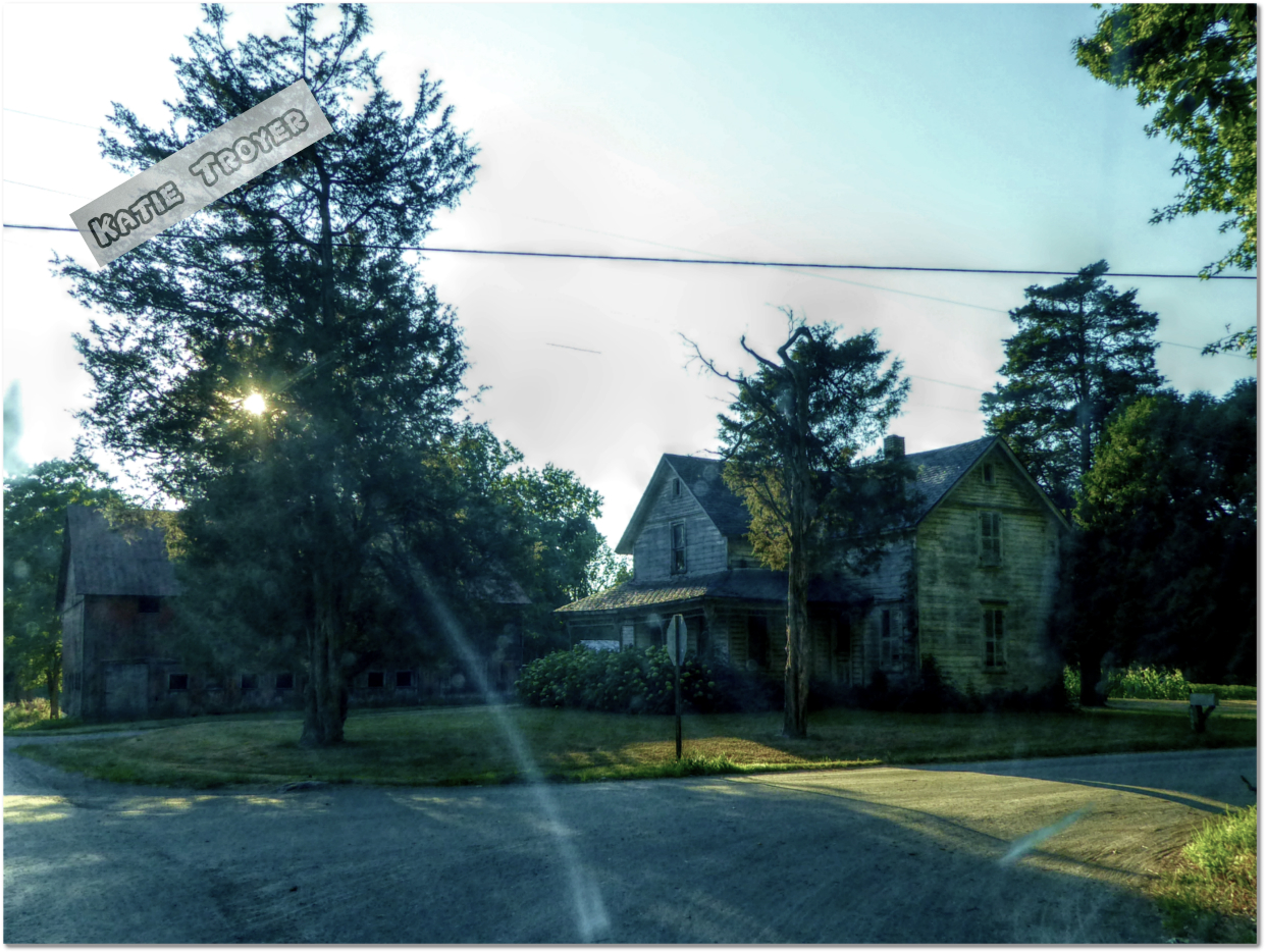 Pinecraft-Sarasota: Isaac Keim Homestead