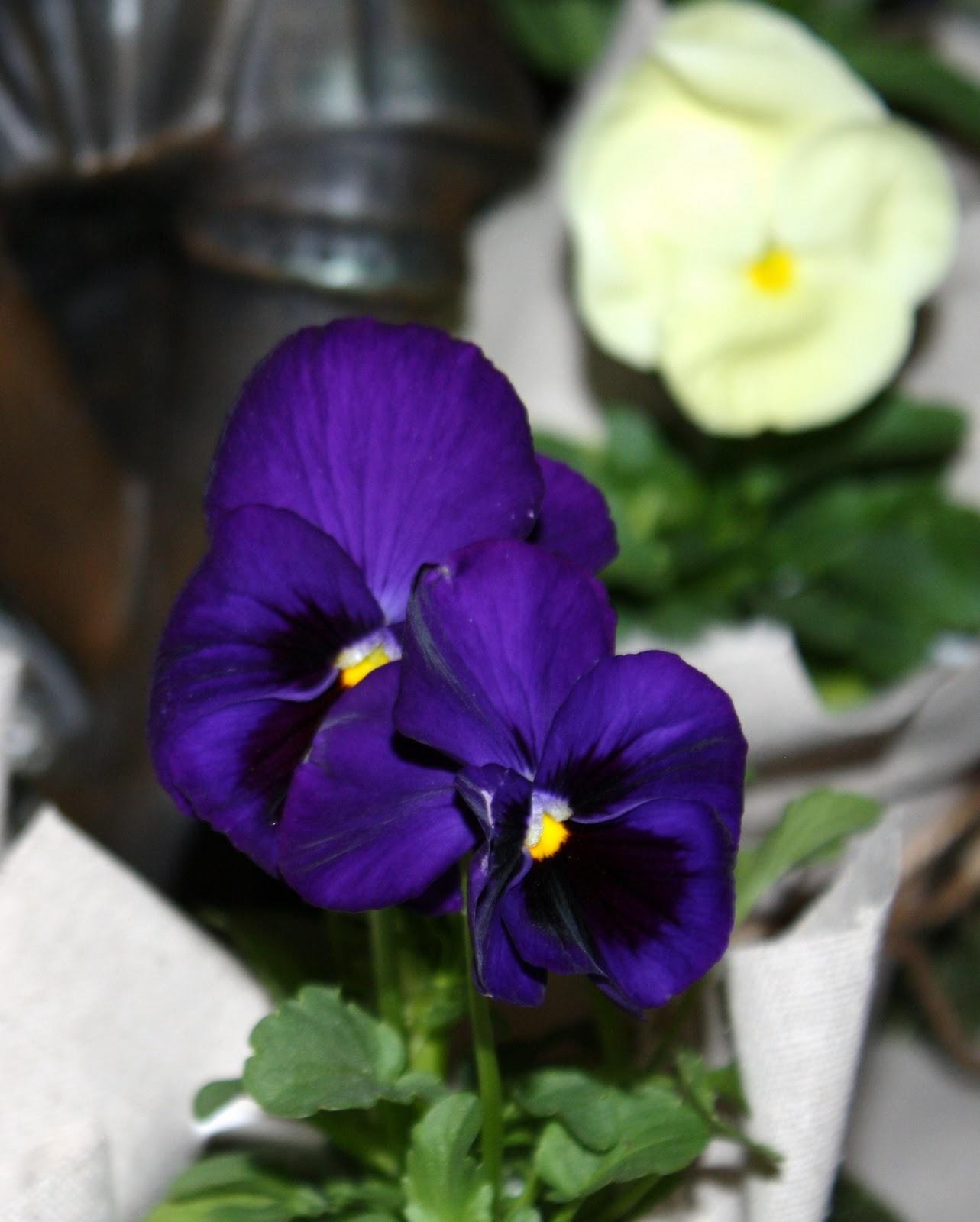 The Best Moments: Pansies Thinking of You Tablescape